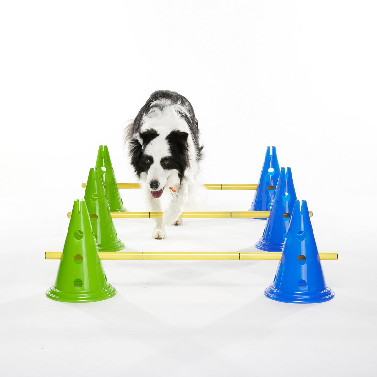 FitPaws Dog Agility Kit | Ruffdog Sports