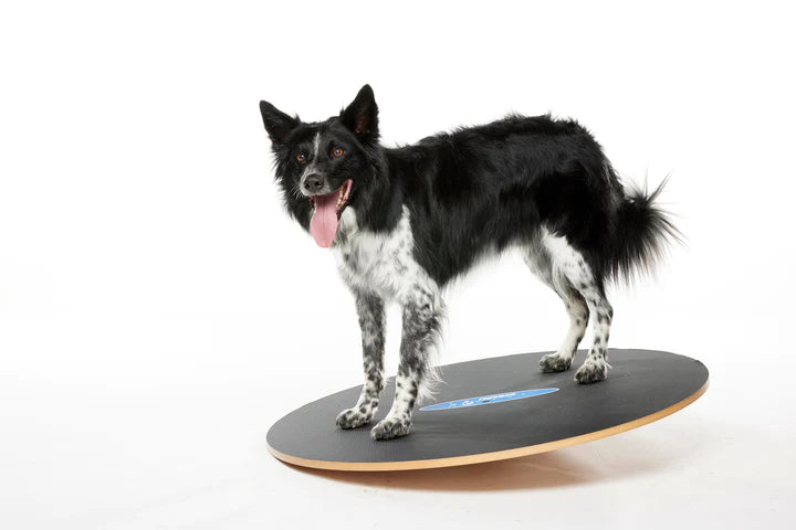 FitPaws Wobble Board Core Balance Training Platform for Dogs
