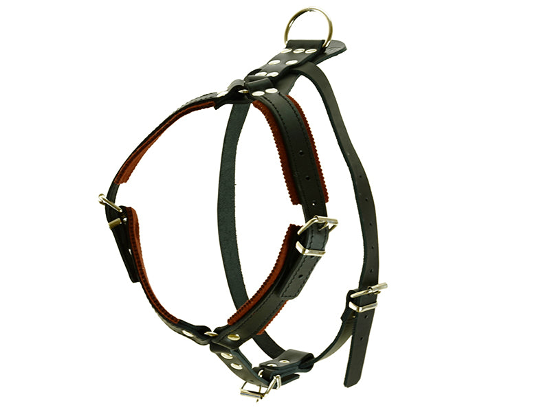 Harnesses & Muzzles for Dogs | Ruffdog Sports